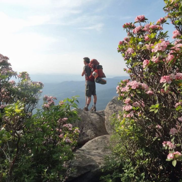 51. Trail of Transformation: Discovering Nature’s Path to Inner ...