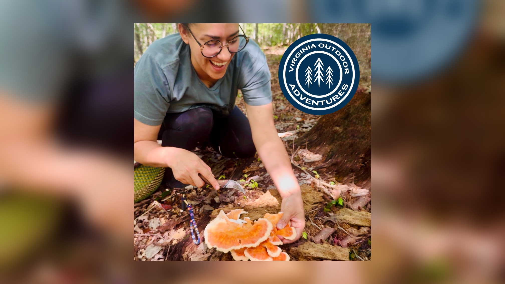 Mushroom Foraging in Virginia